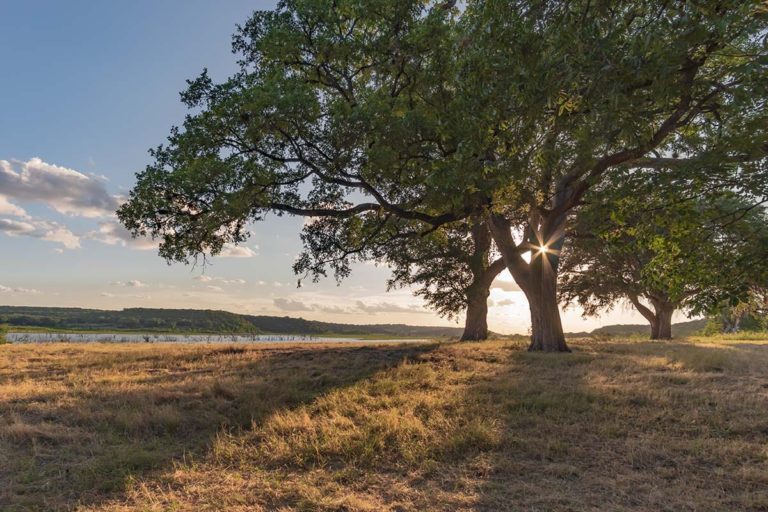 Addiction Treatment Locations | The Arbor Behavioral Healthcare | Texas